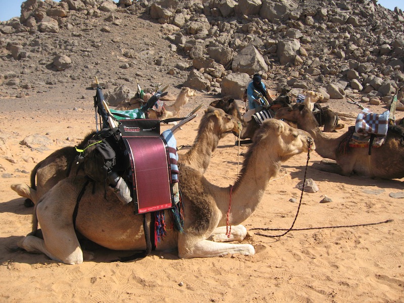 Flexcell Sunpack ion+